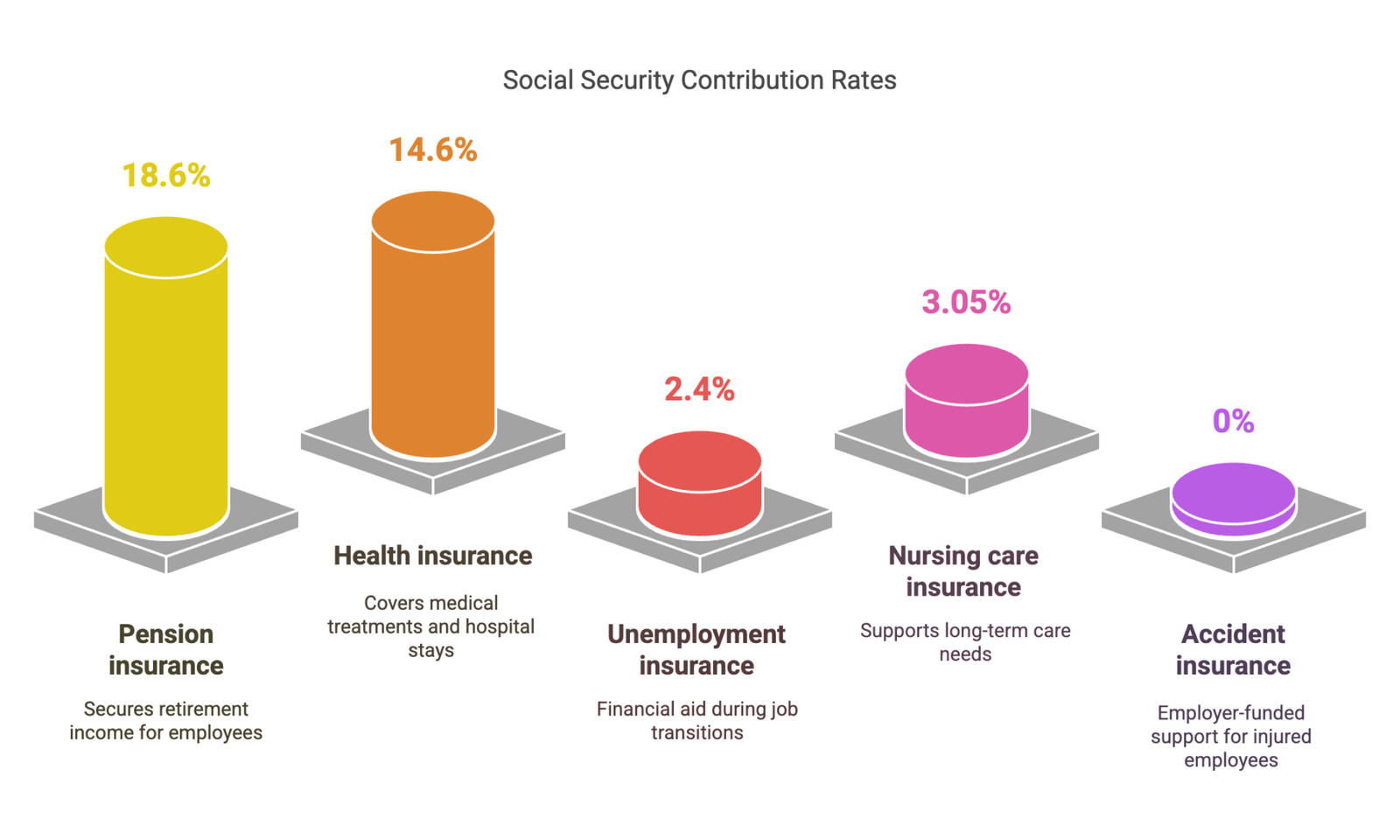 Understanding Your German Social Security Card (Sozialversicherungsausweis)